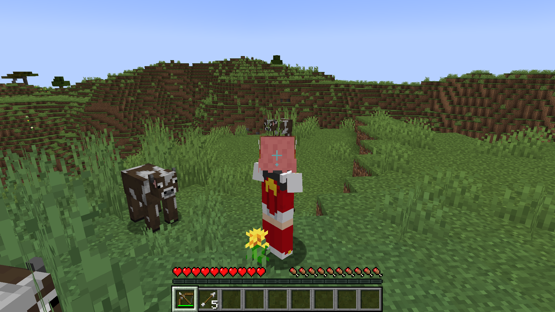 Third Person Crosshair — SkinMC