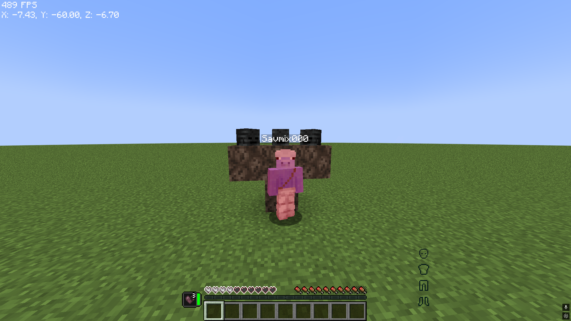 white wither hp — SkinMC