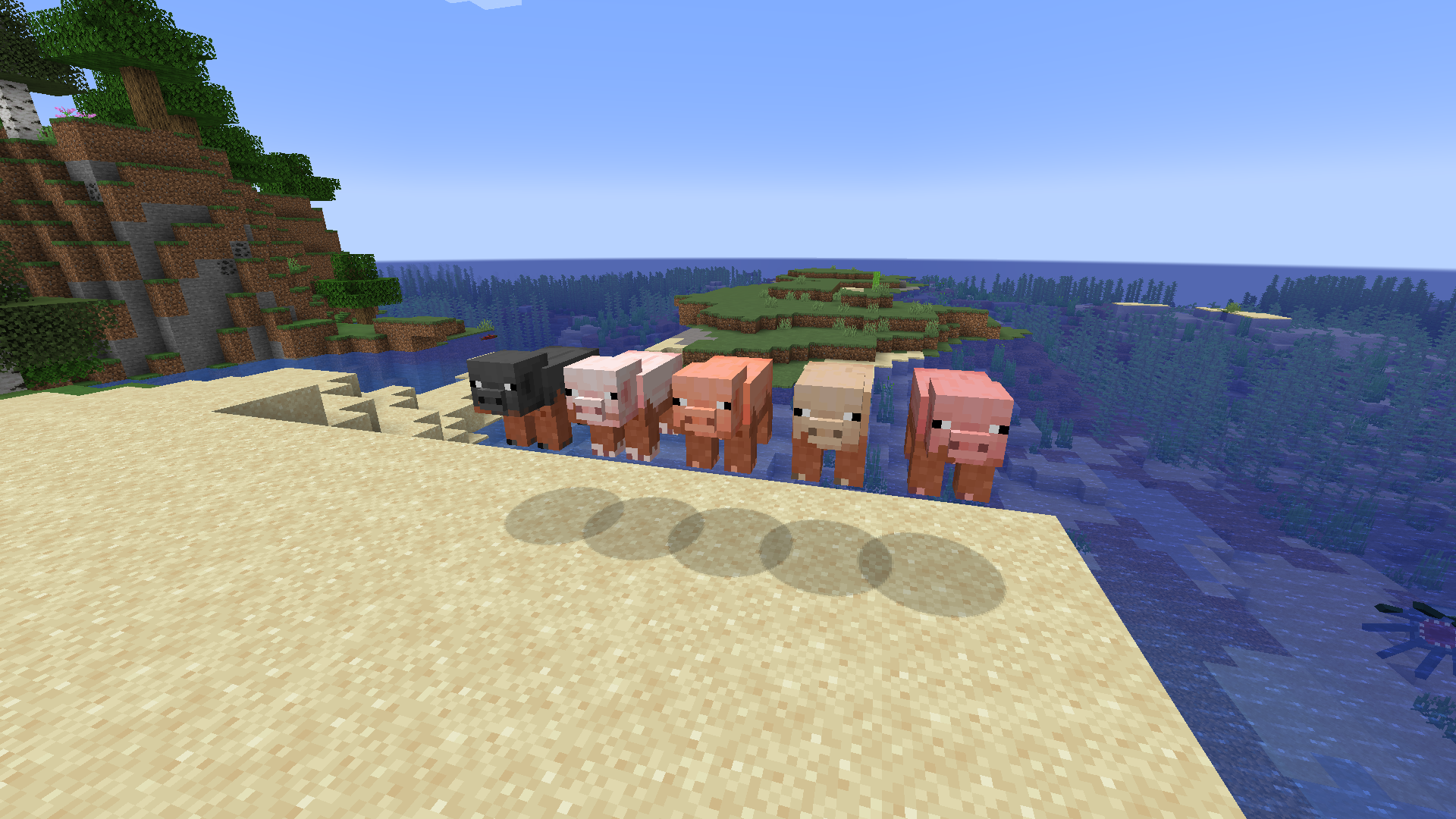 Jeikir's Pig Variants - Gallery Jeikir's Pig Variants - Gallery