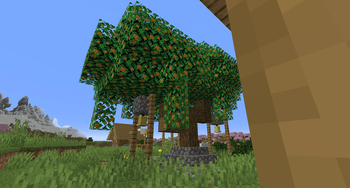 Food Craft - Gallery