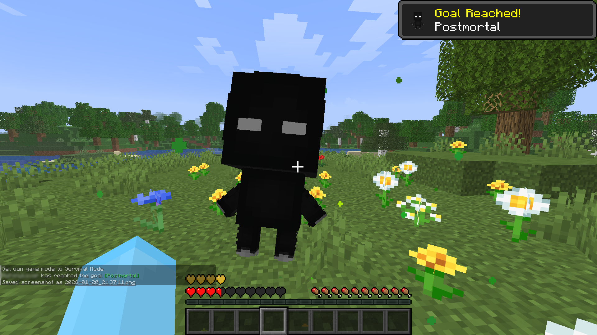 Clixked Totem — SkinMC