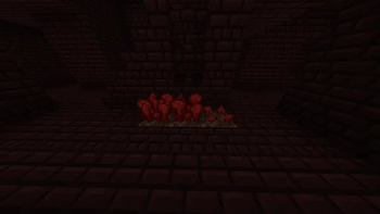 Better_Nether_Vines_and_Wart - Gallery