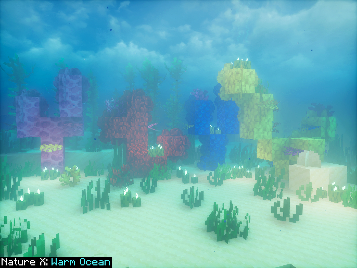 Nature X - Gallery