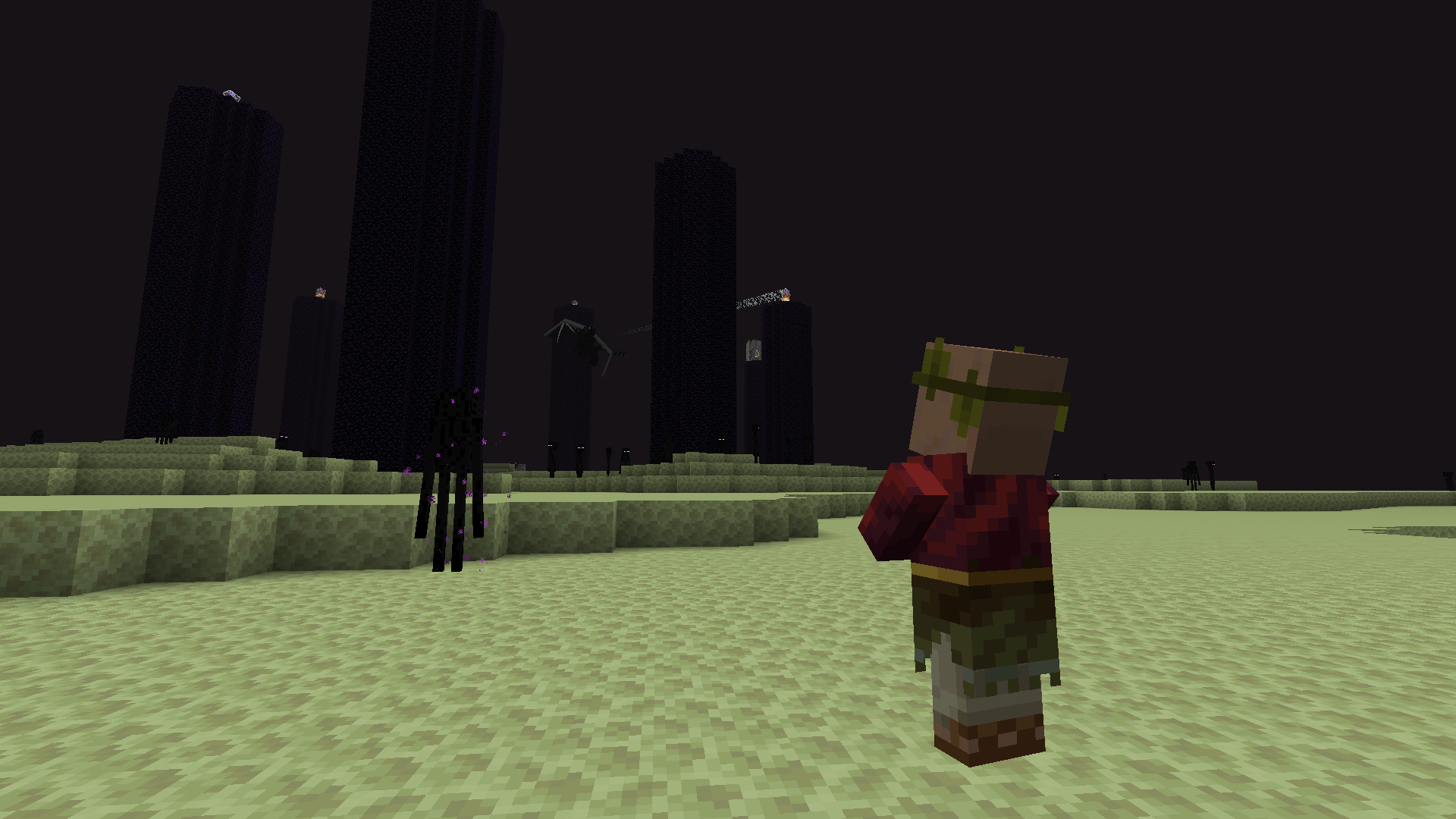 Biome Tag Villagers - Gallery