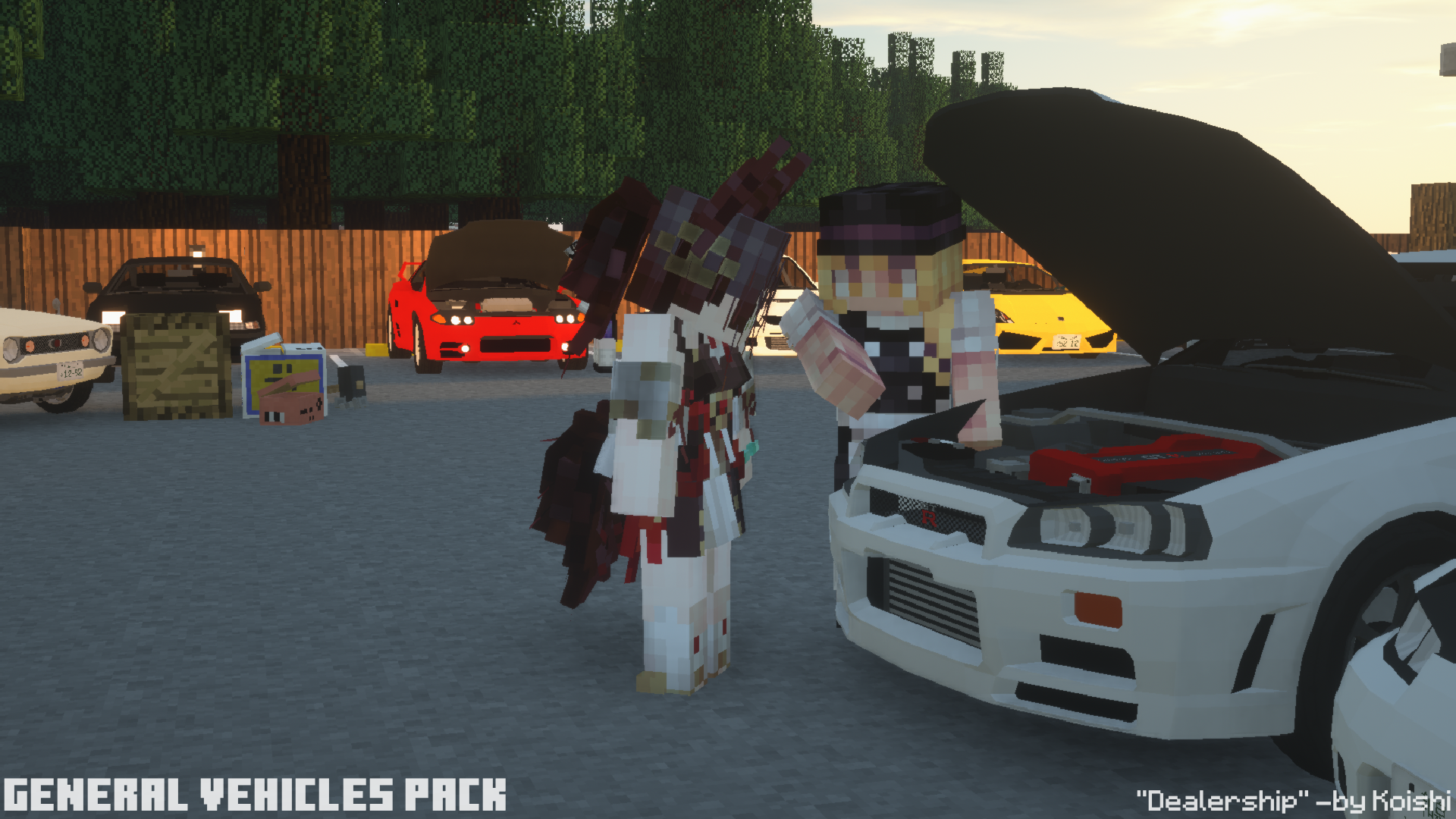 Immersive Vehicles - Gallery