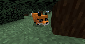 Badass Fox - Gallery