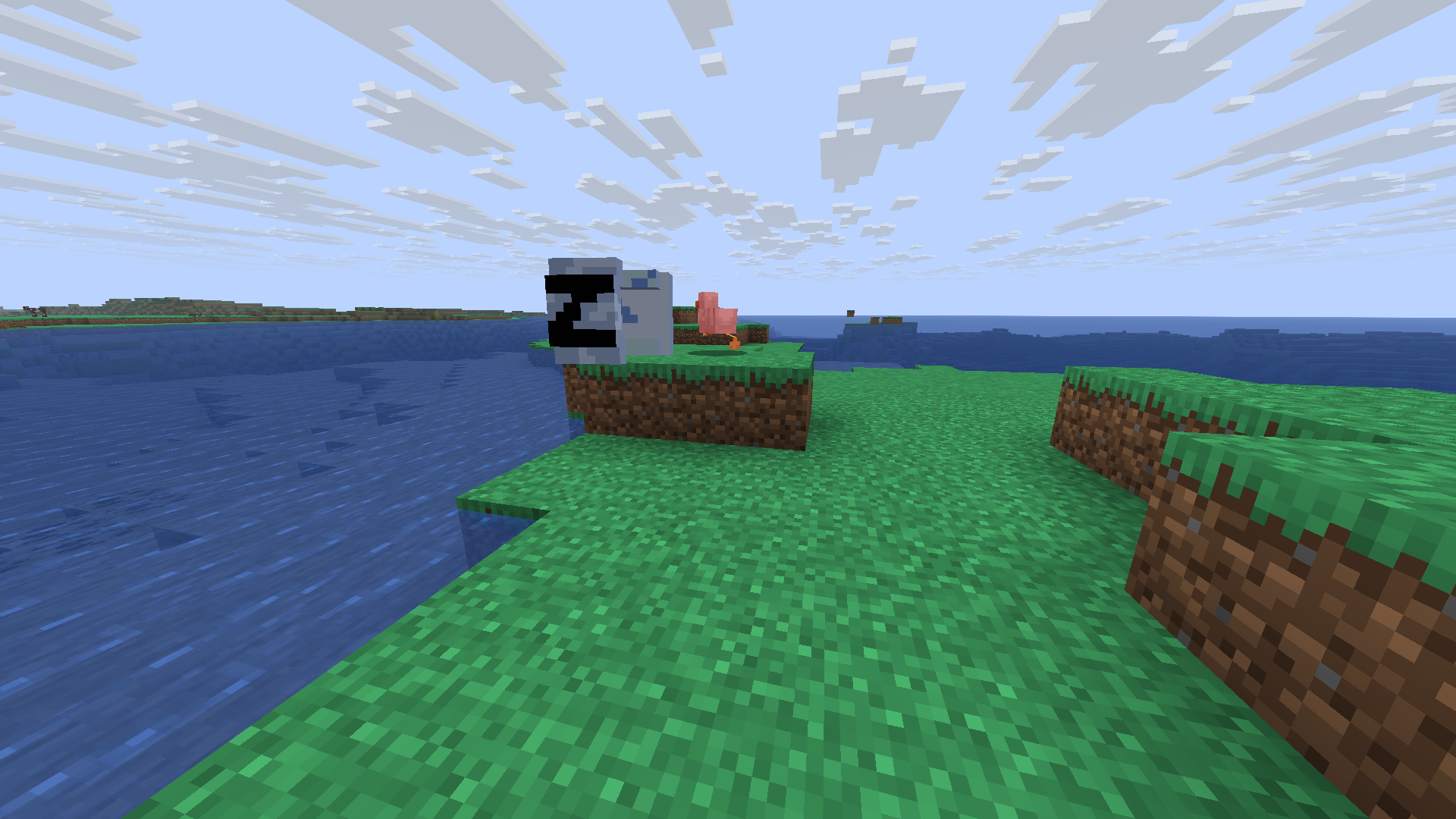 Chaotic dimension — SkinMC