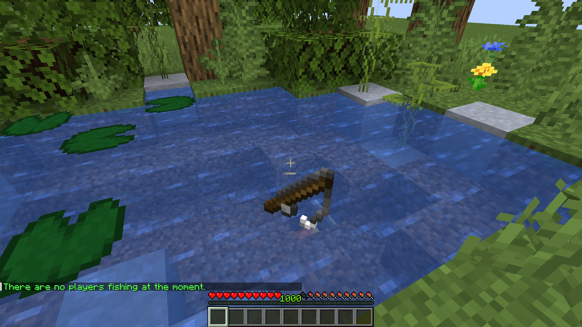 Who s Fishing Minecraft Plugin
