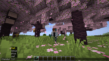 Item Durability - Gallery