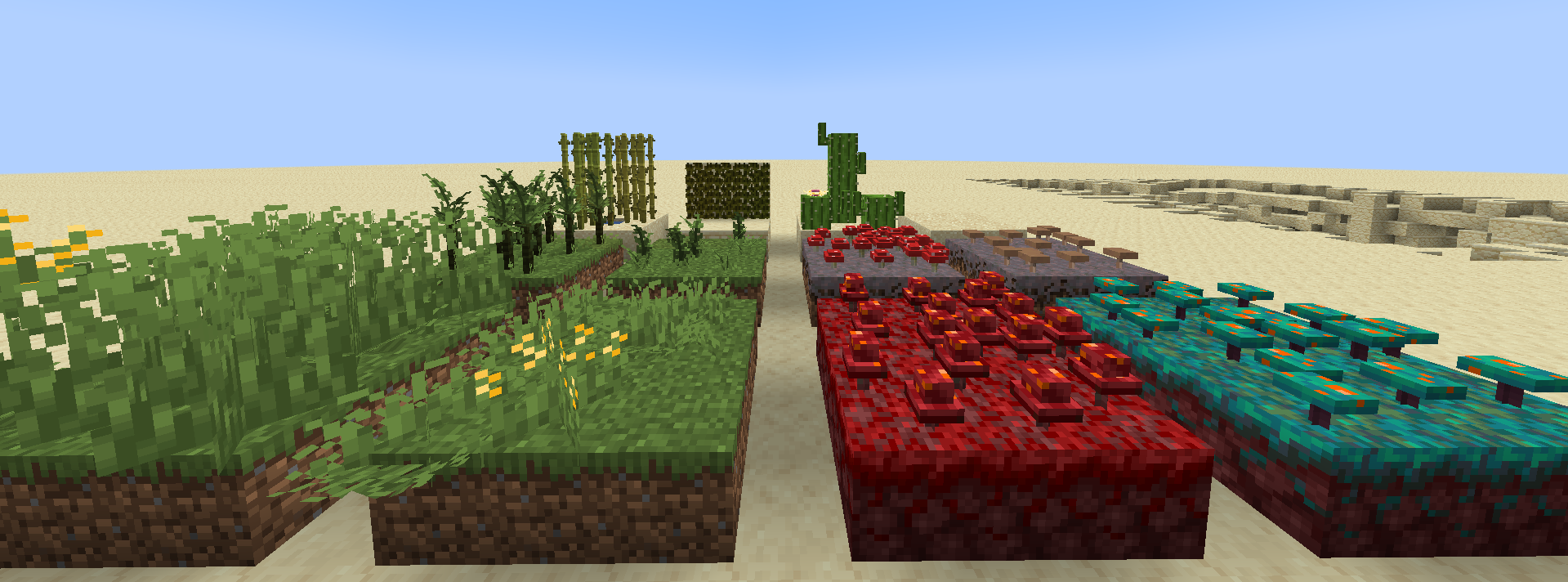 Lively Plants - Gallery