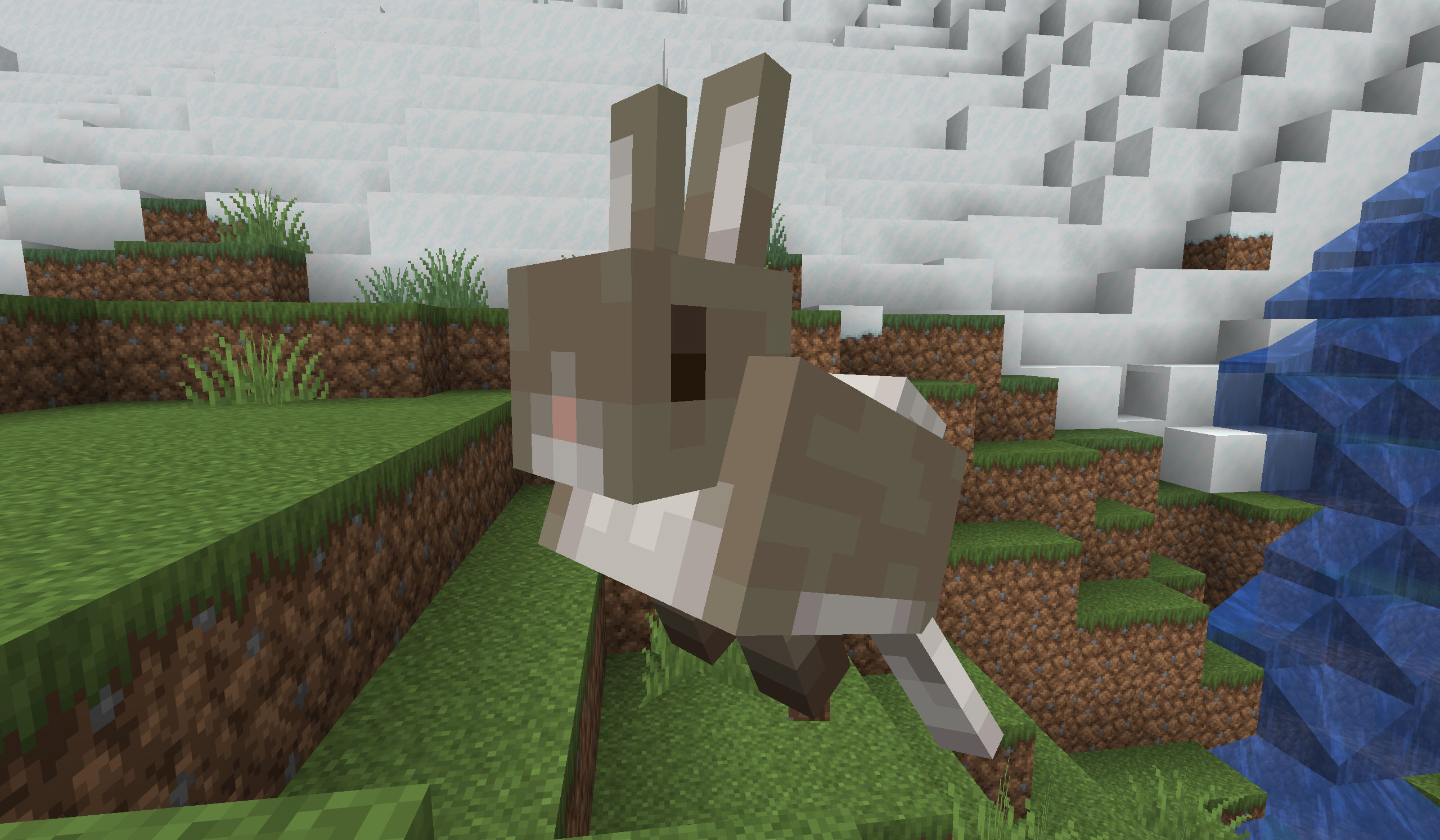 Accurate Rabbits — SkinMC