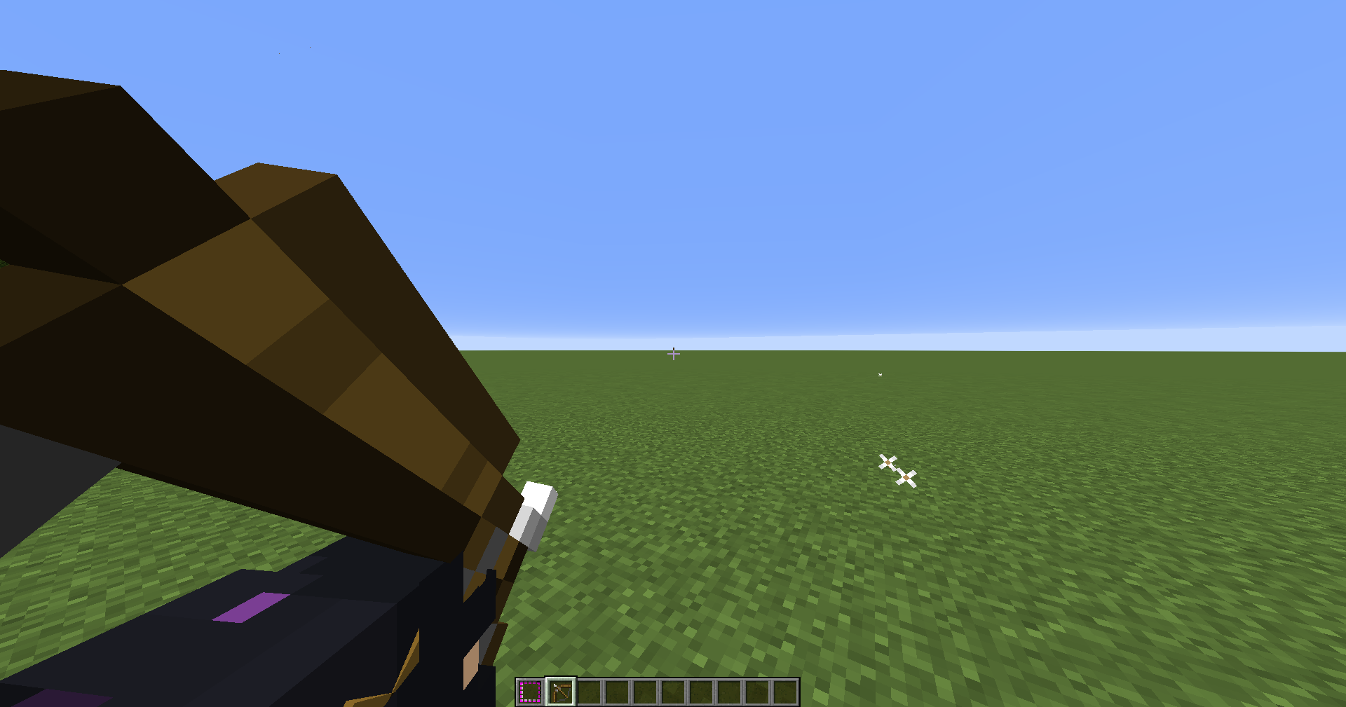 First Person View — SkinMC