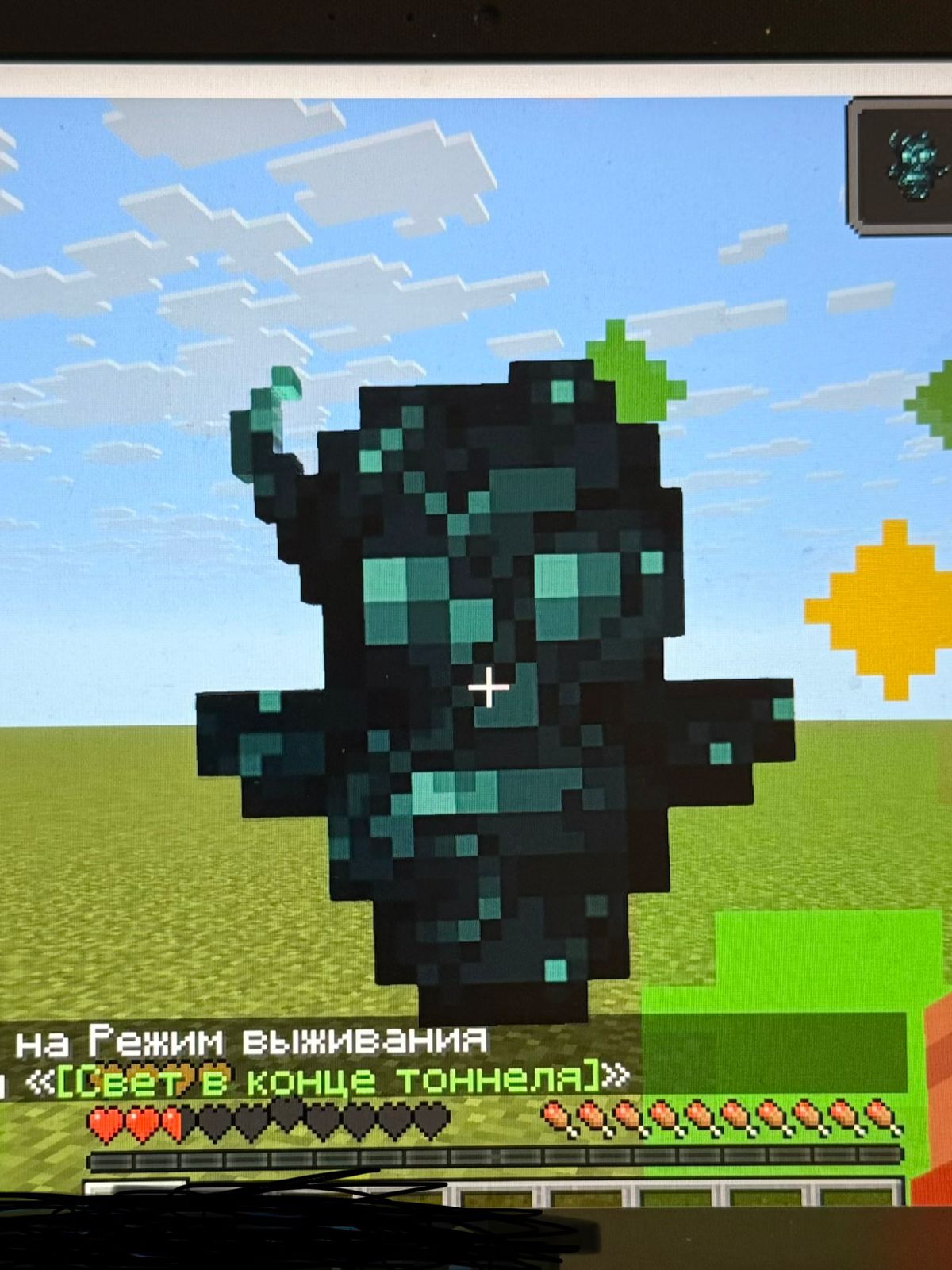 Warden Totem — SkinMC