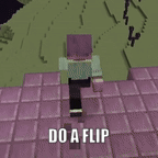 Do A Flip - Gallery