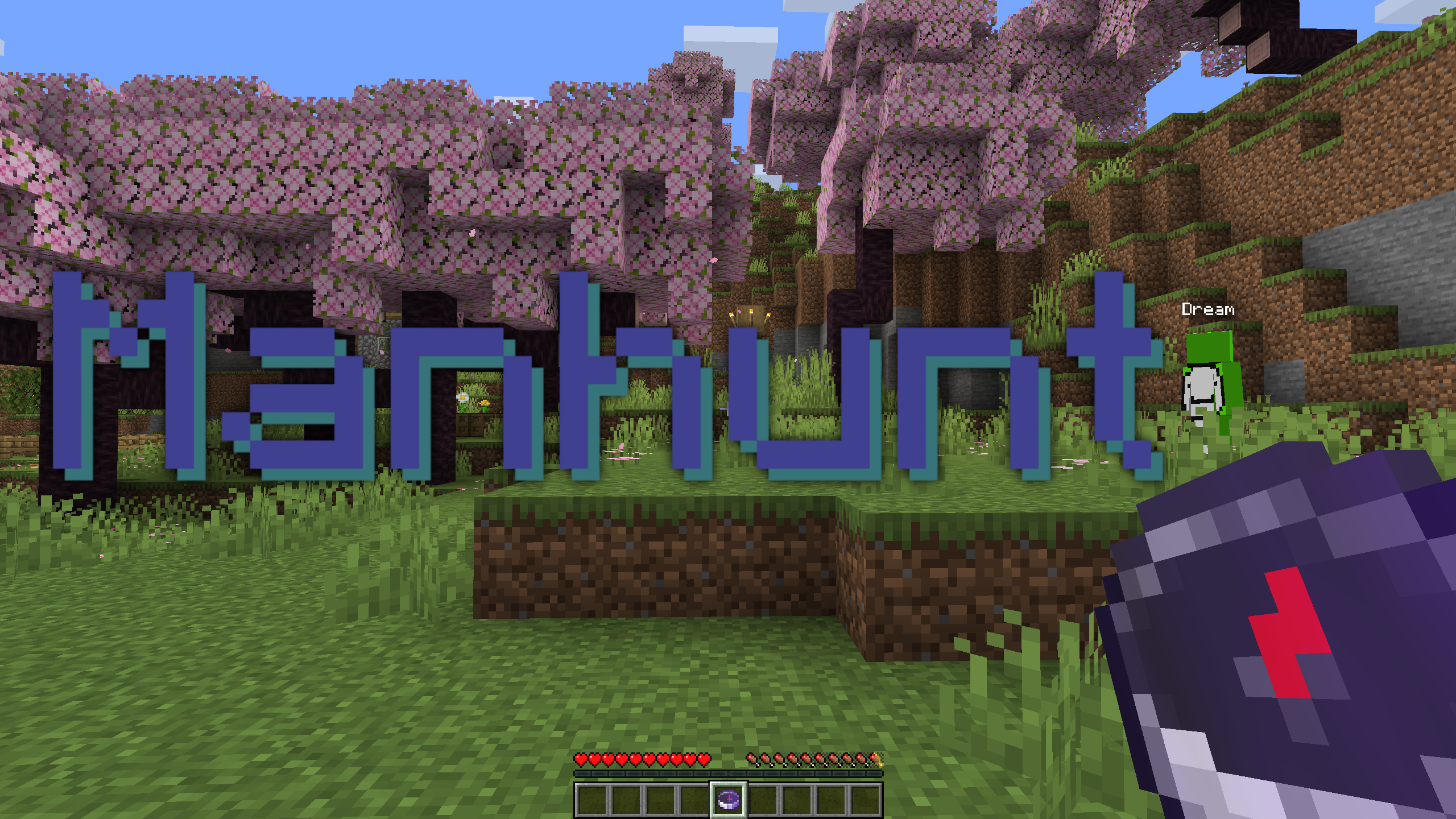 Compass Tracker Minecraft Data Pack