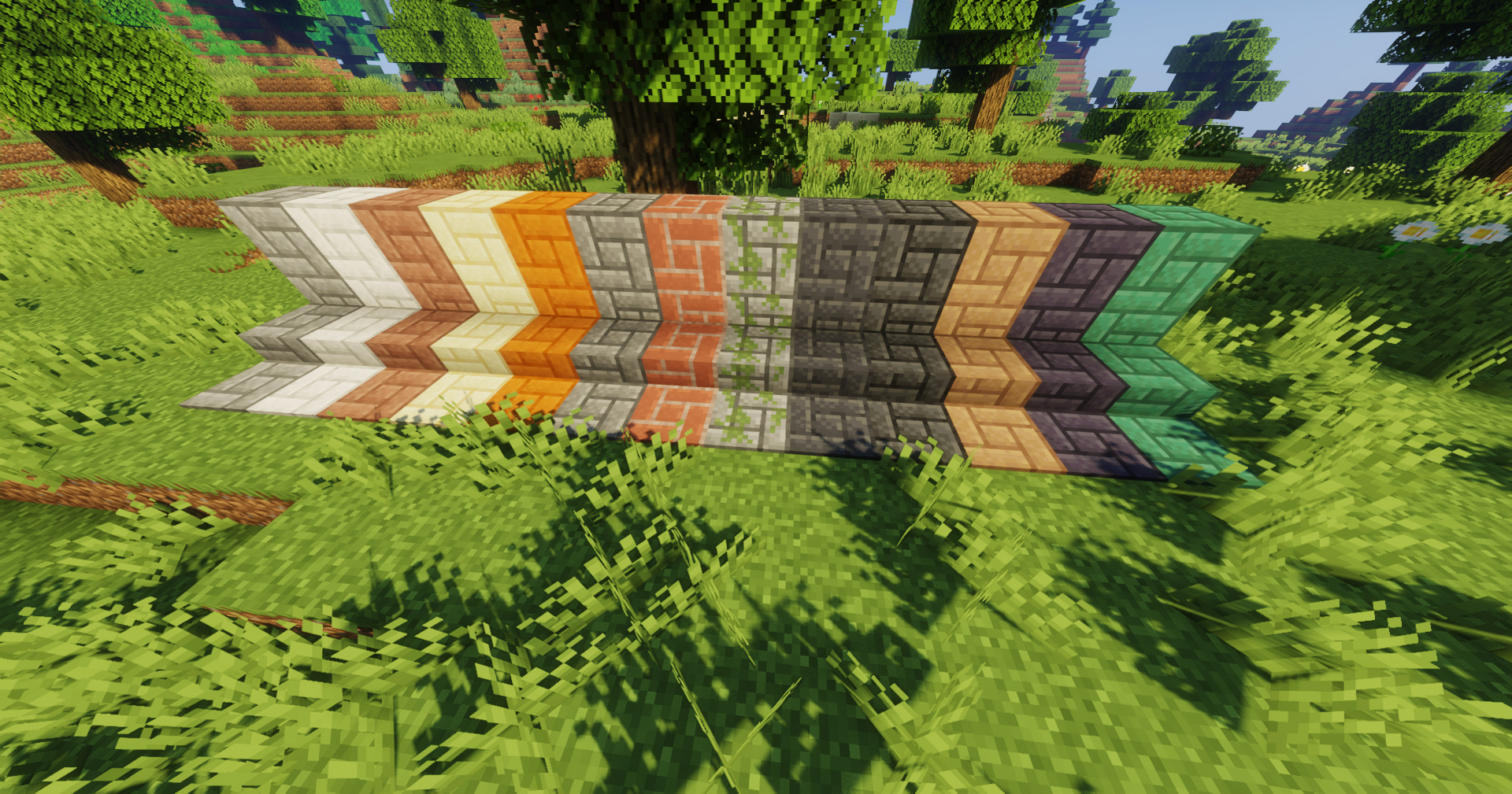 Macaw's Paths and Pavings - Gallery