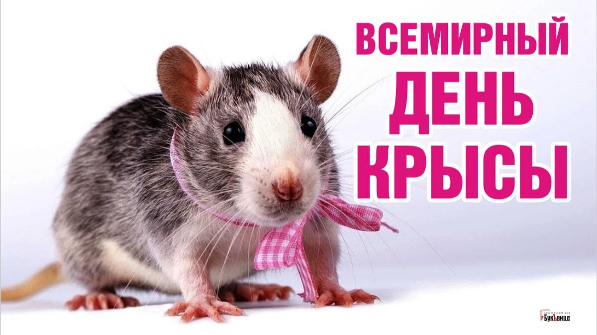 Крысиный перевод - Minecraft Resource Pack