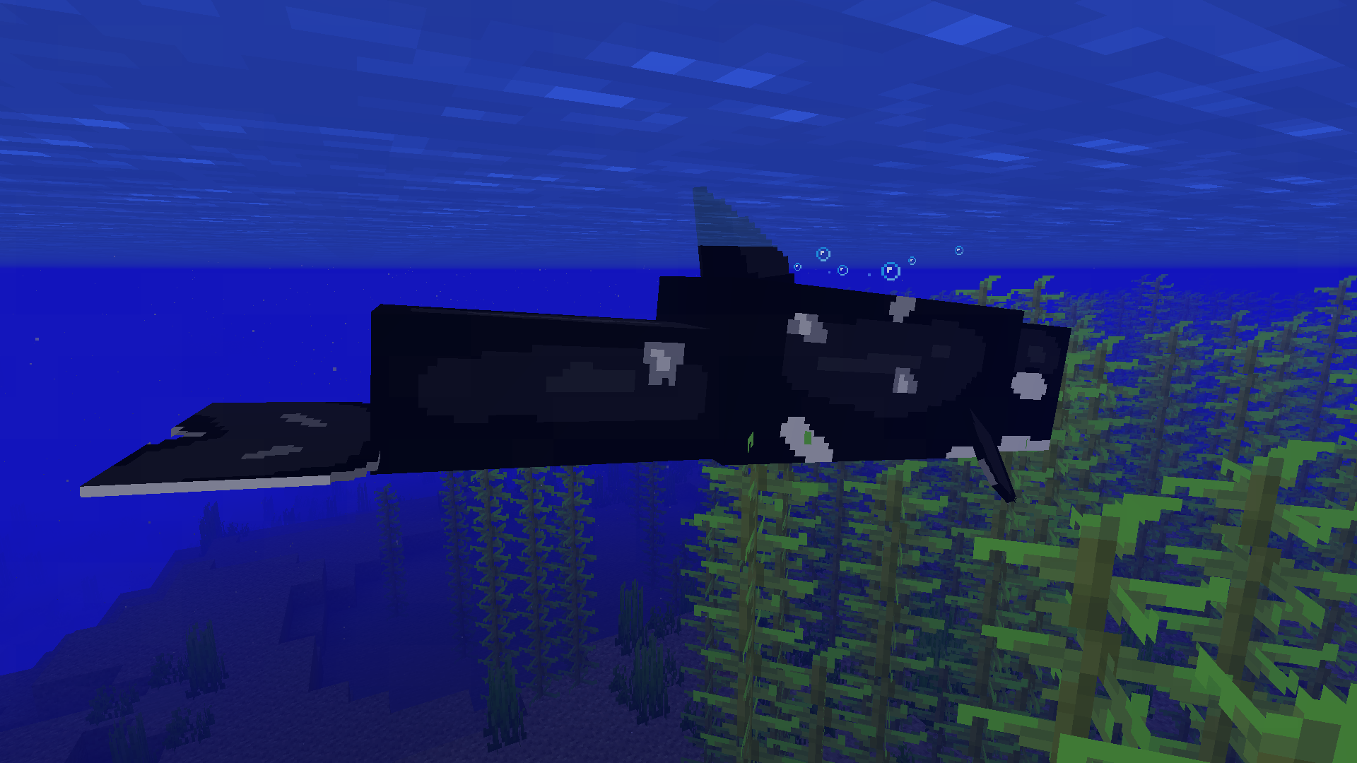 Minecraft Whale How Whale Is This Build In CREATIVE? | Learning To