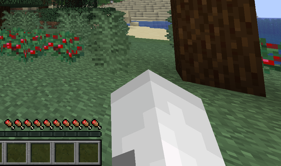 Catify - Minecraft Mod