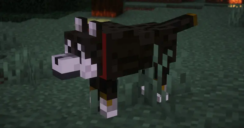 Shiba-dog - Minecraft Resource Pack