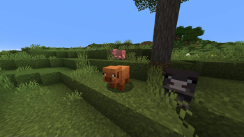 MC Earth for 1.21.5(1.21) - Gallery