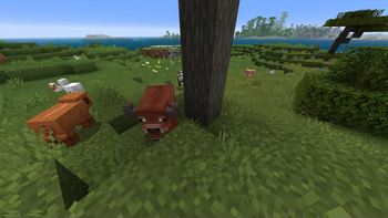 MC Earth for 1.21.5(1.21) - Gallery