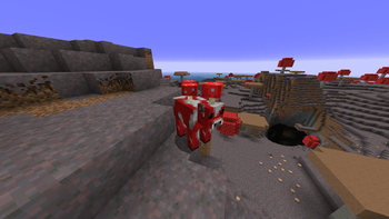 MC Earth for 1.21.5(1.21) - Gallery