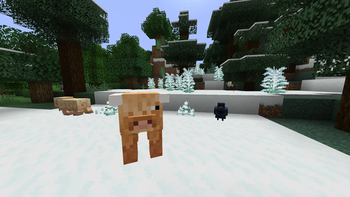 MC Earth for 1.21.5(1.21) - Gallery