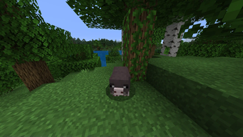 MC Earth for 1.21.5(1.21) - Gallery