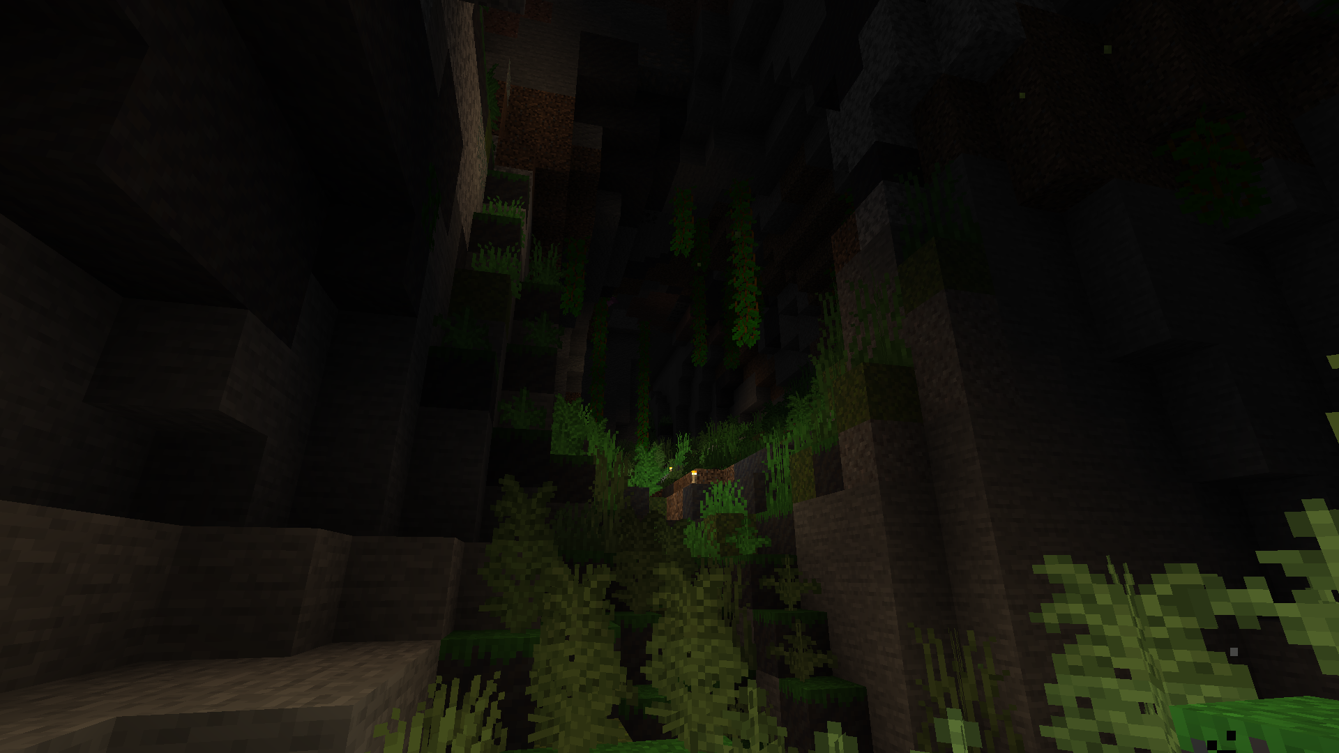 Underground Jungle Gallery