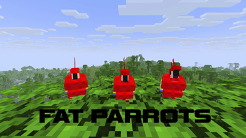 Fat Parrots - Gallery