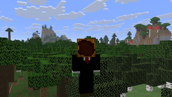 Remove Pumpkin Blur - Gallery