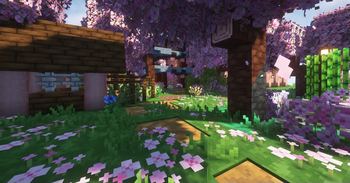 Vanilla Enhanced - Gallery