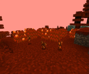 The Amber Forest - Gallery