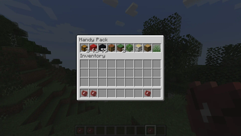 Handy Packs - Gallery