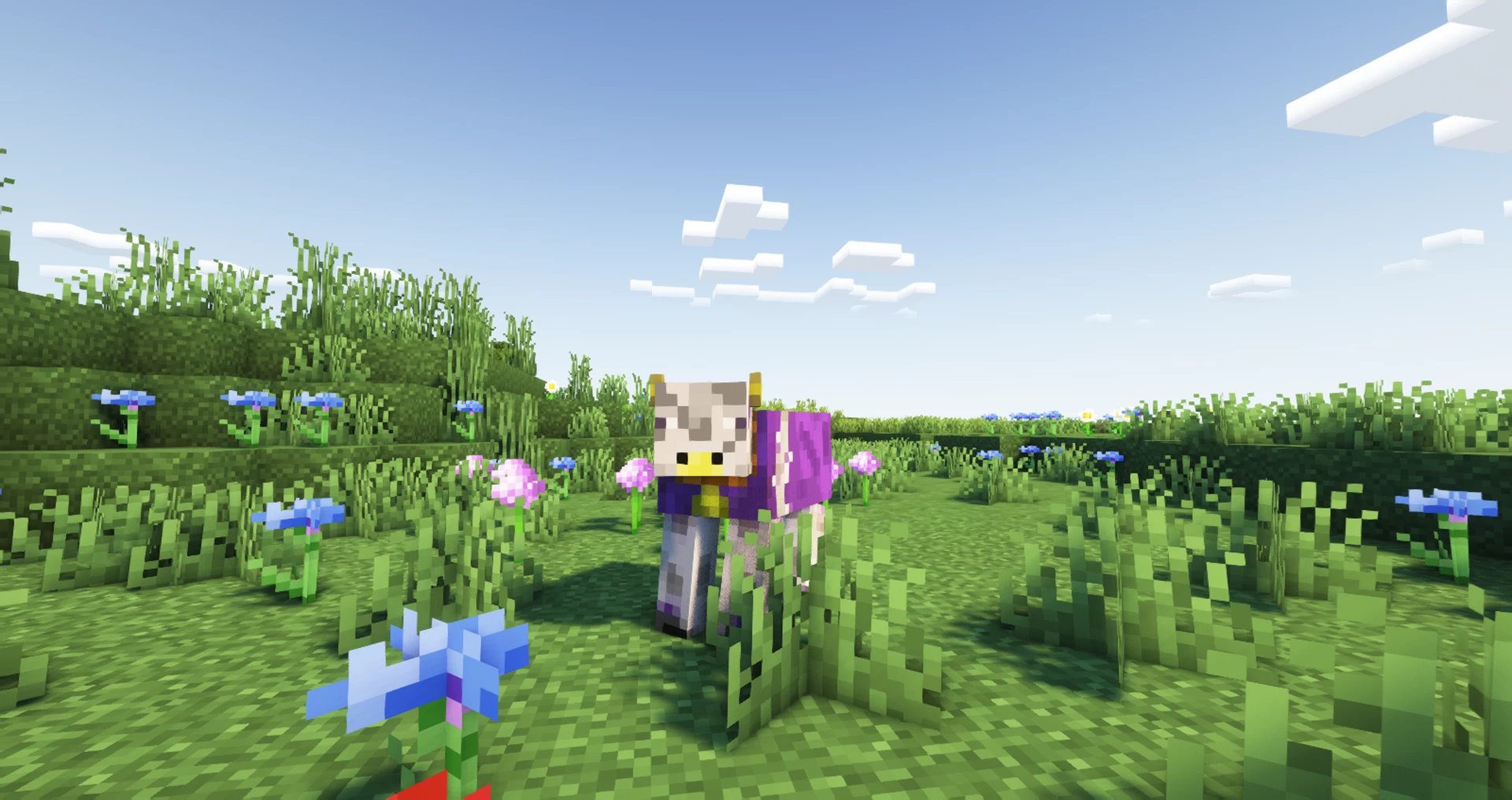 Milka Cow - Gallery