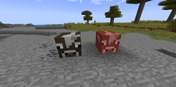 The block of cow - Gallery