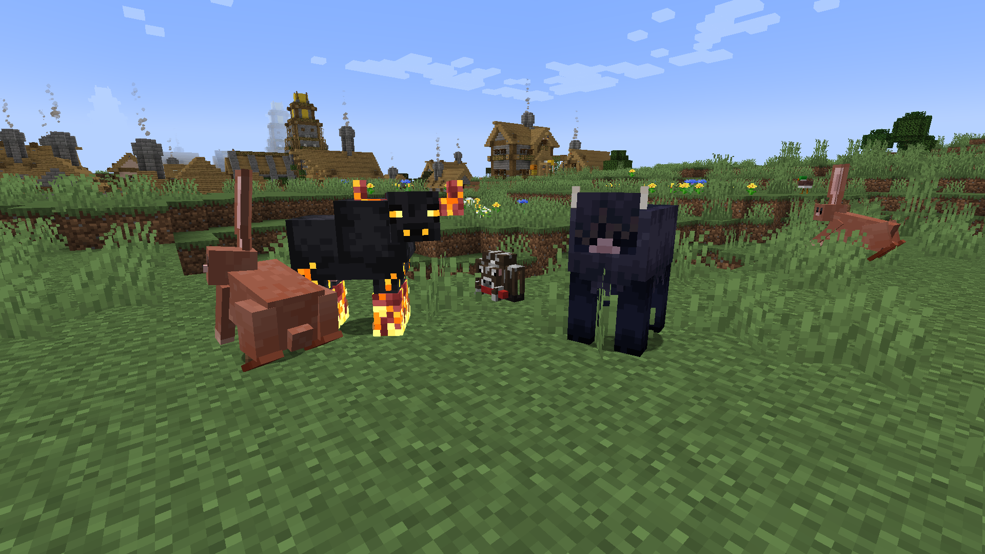 Shrimp's Essentials - Gallery