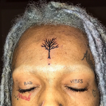 XXXTENTACION's poison tree banner - Gallery