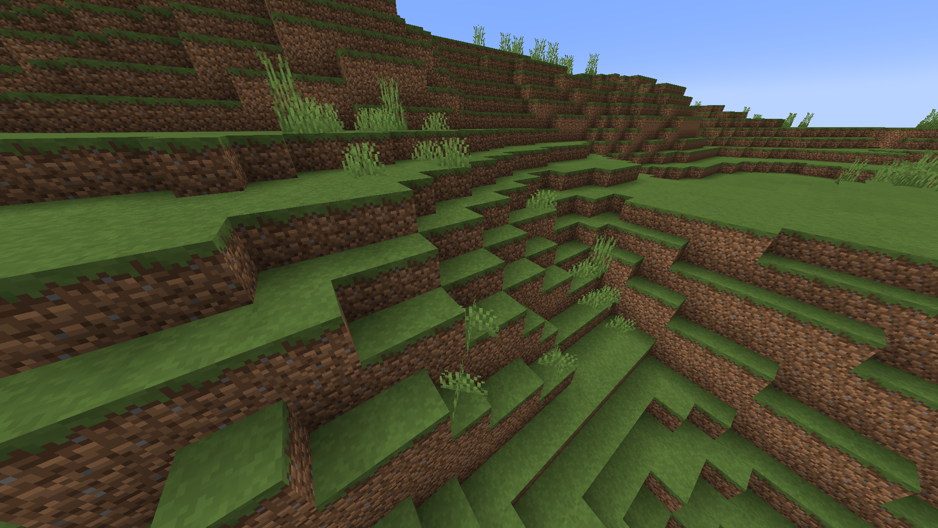 Cleaner Grass Gallery