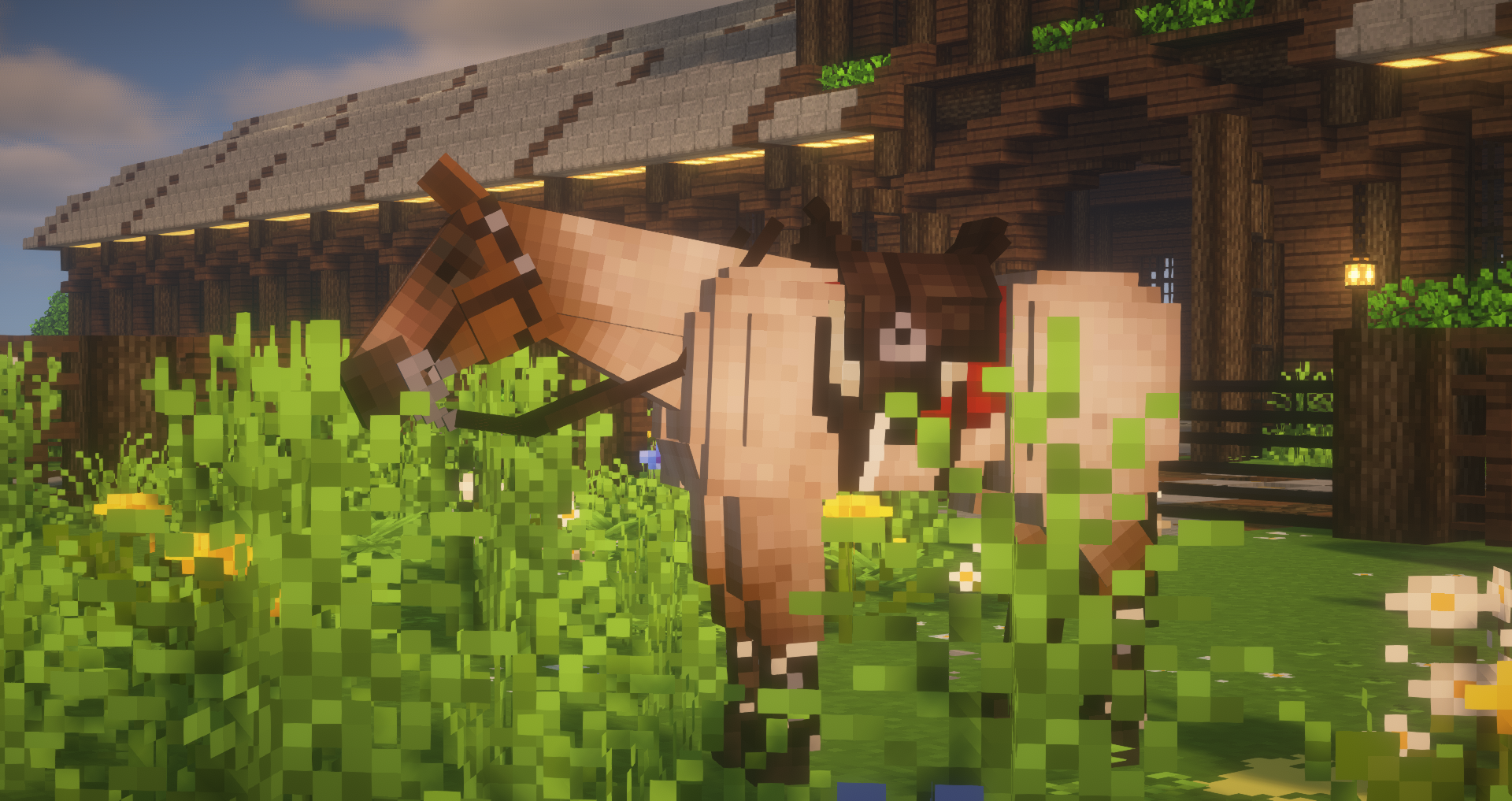Blossomeq Swem Tack Add On Gallery