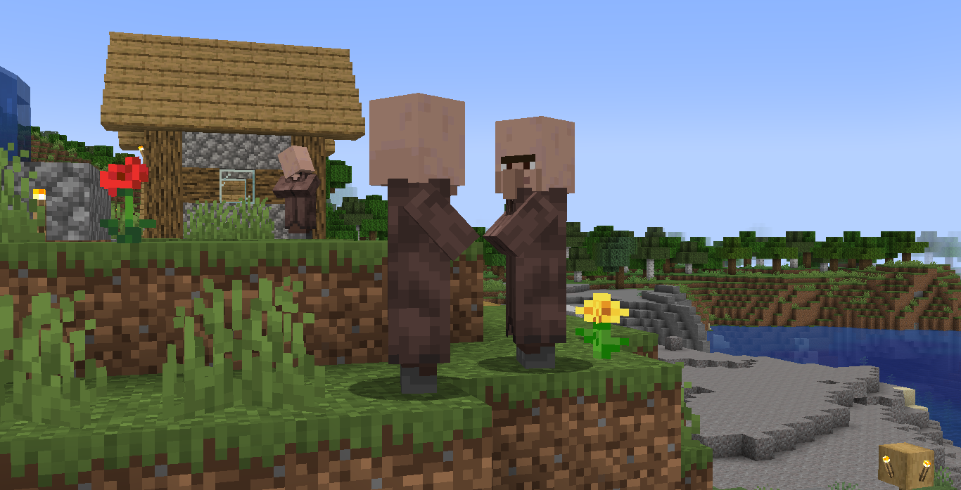 Villager Variety - Gallery