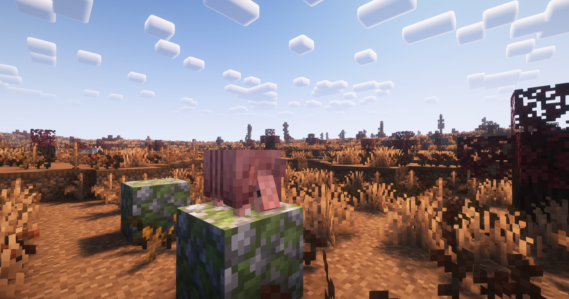 Tricky Trails Expanded - Gallery