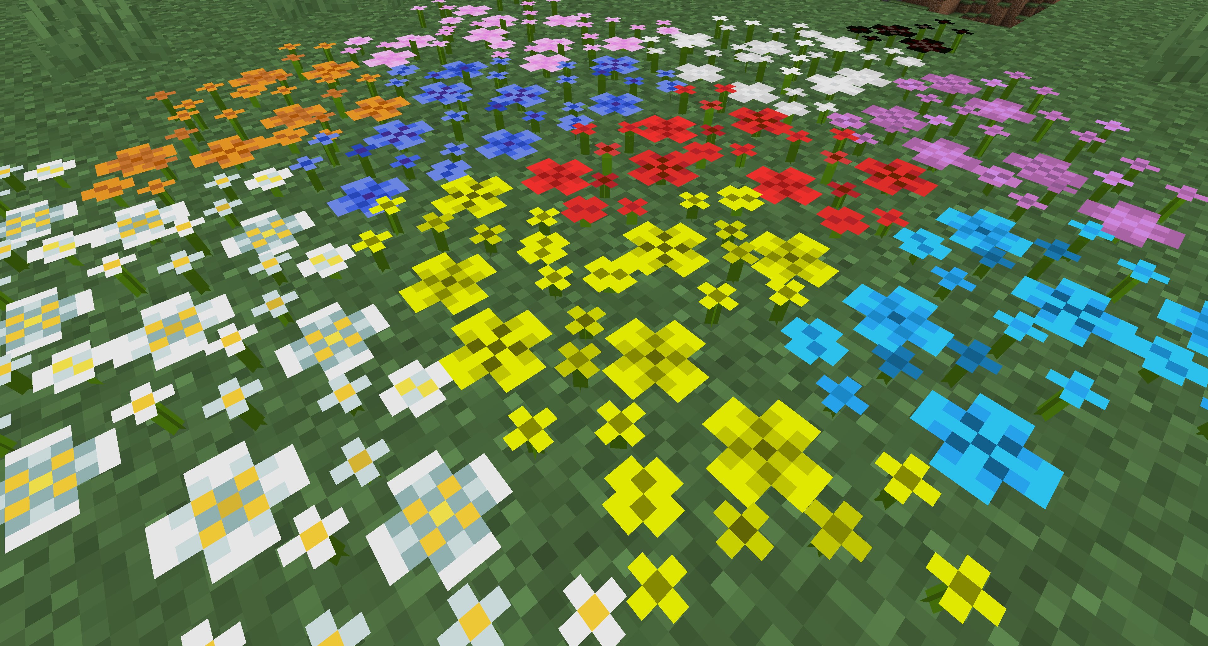 Flower Power - Gallery