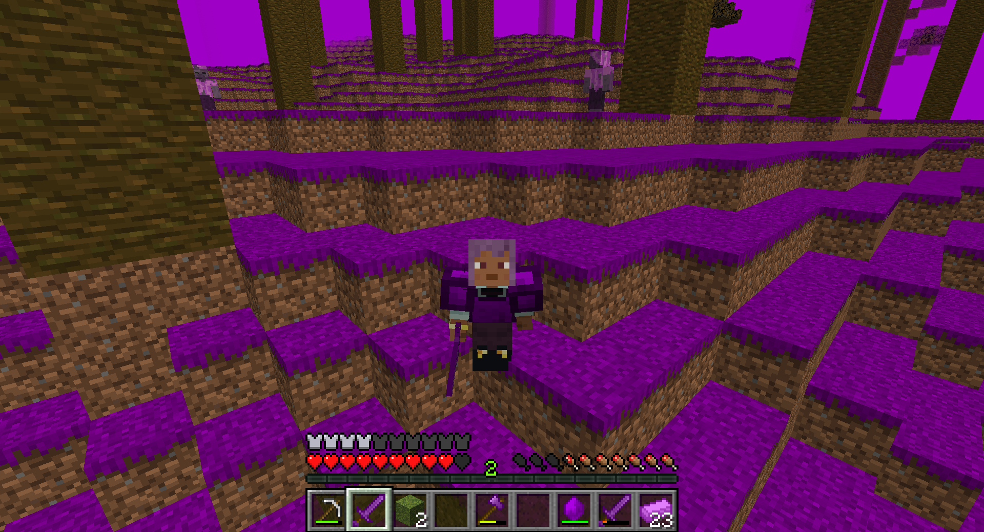 ZacKikiCraft's Purple Mod - Gallery